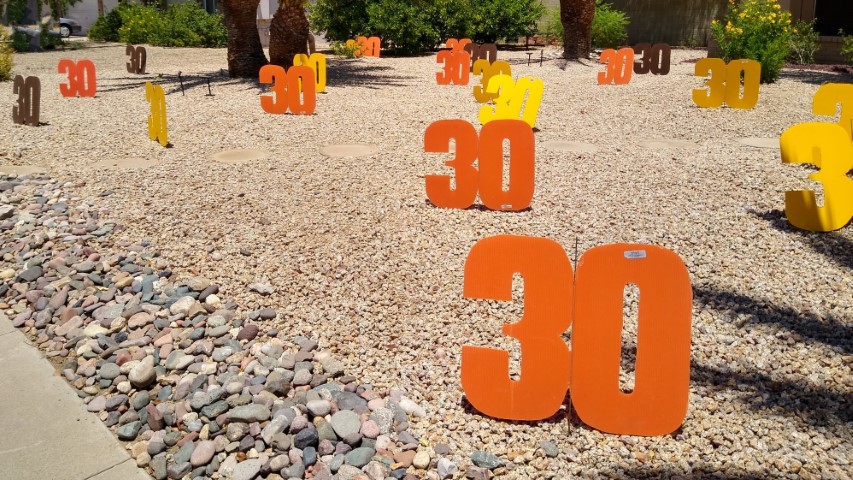 Flamingos by night / AZ's largest Yard Card sign rental co.